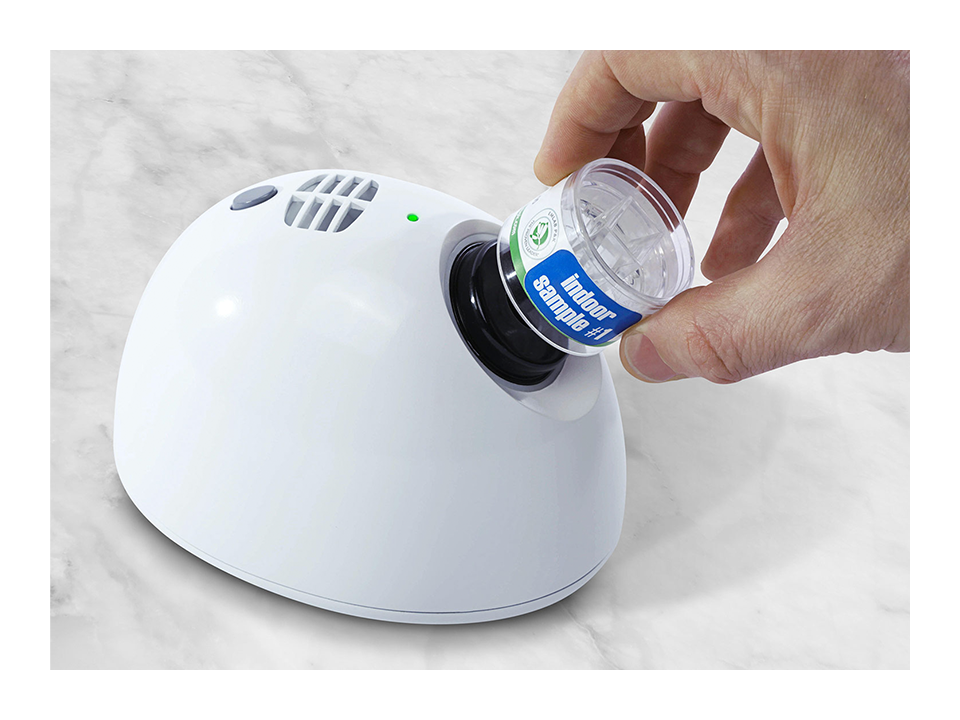 GOT MOLD? 2 Room Test Kit | theChive University