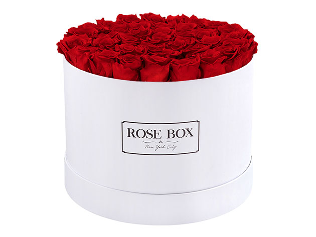 Rose Box™ Large White Box & Everlasting Roses | StackSocial