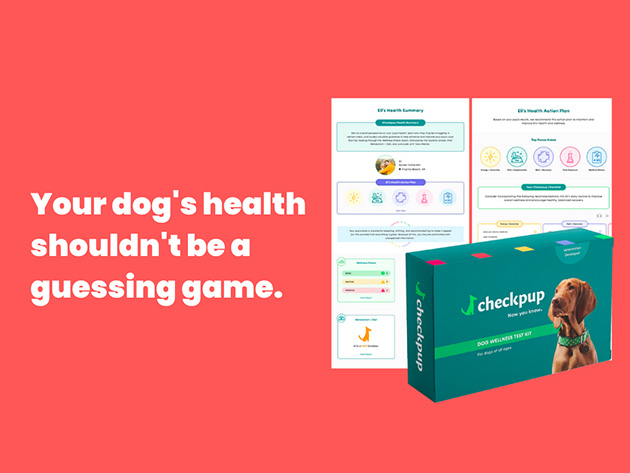 Dog Wellness Test Kit | Black Enterprise
