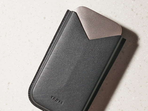 TROVA GO Discreet Biometric Storage + Sleeve Bundle (Fog/Black ...