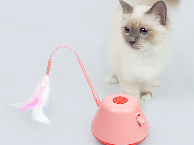Automated Cat Robot Toy with LED & Feathers (2-Pack/Pink & Green) | Joyus