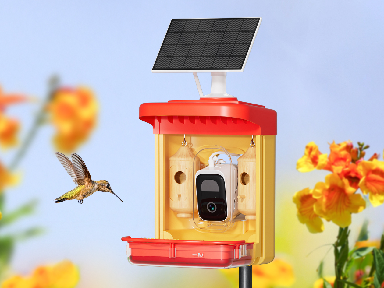 HummerHi Solar Powered Smart Hummingbird Feeder with Camera | StackSocial