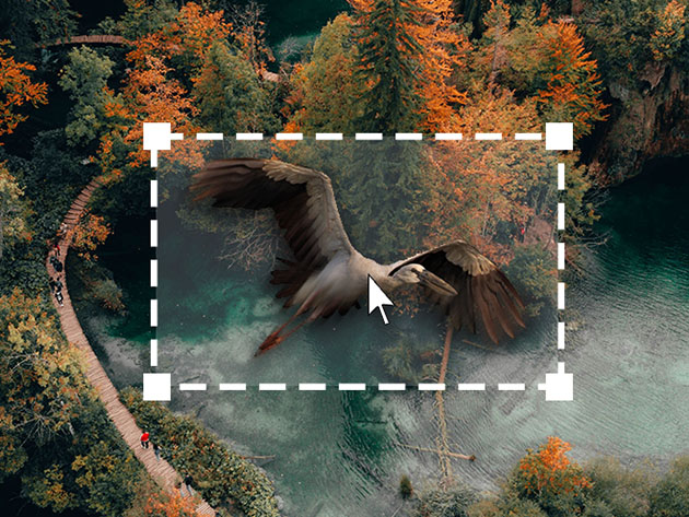 The Adobe After Effects & Nuke VFX Production Bundle | Android Authority