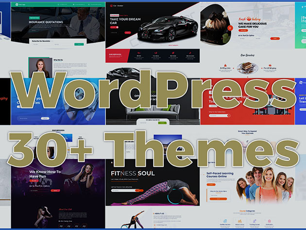 WordPress 30 Themes / Sales Pages Bundle | StackSocial