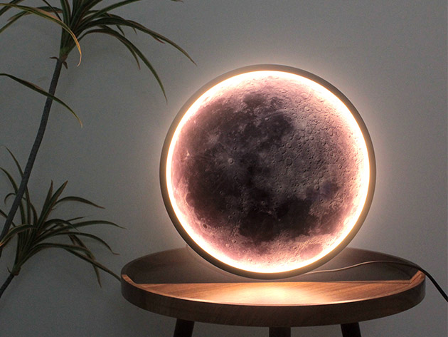 LampDepot Moon Wall Art Print Lunar Lamp (13.8"/35cm) | Joyus