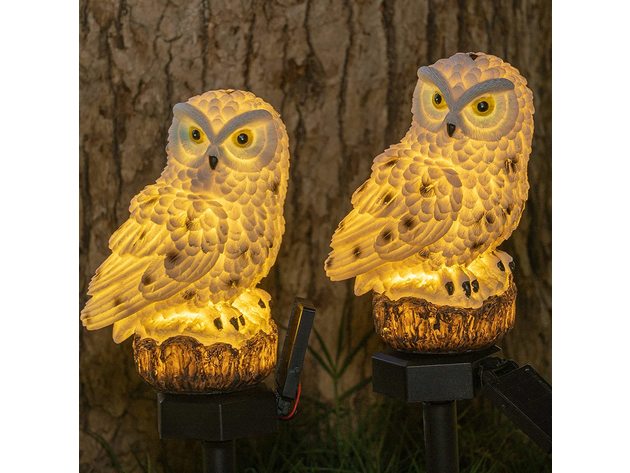 2-Pack Owl Figure Solar LED Lights | StackSocial
