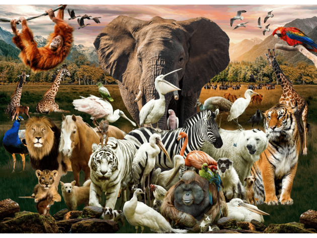Animal Jigsaw Puzzles 1000 Piece | StackSocial