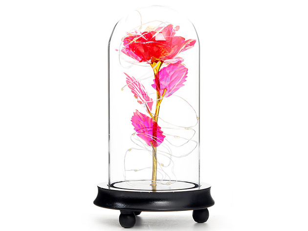 Everlasting Flower Glass Cover Decoration (Purple Rose) | theChive ...
